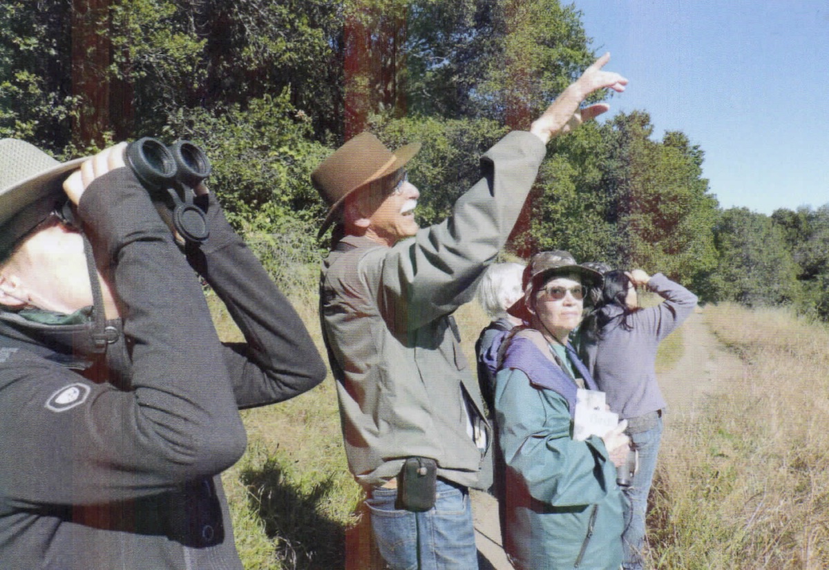 Friends of Albany Hill – Preserving nature and open space